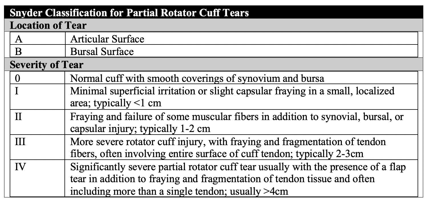 Rotator Cuff Shoulder Tendon and Muscle Injuries | PM&R KnowledgeNow