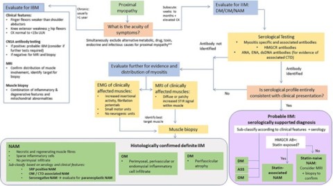 Inflammatory Myopathy | PM&R KnowledgeNow